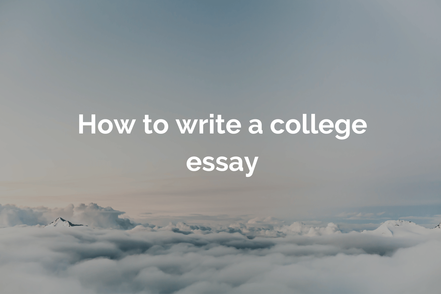 Admissions Guides | Admit Report