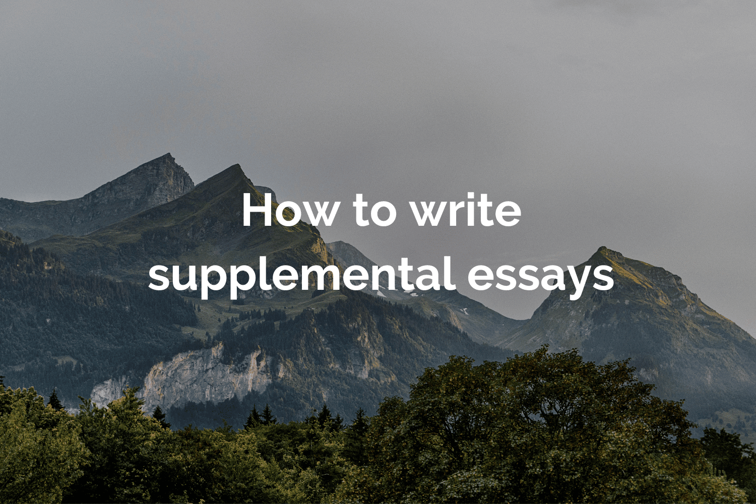 Admissions Guides | Admit Report